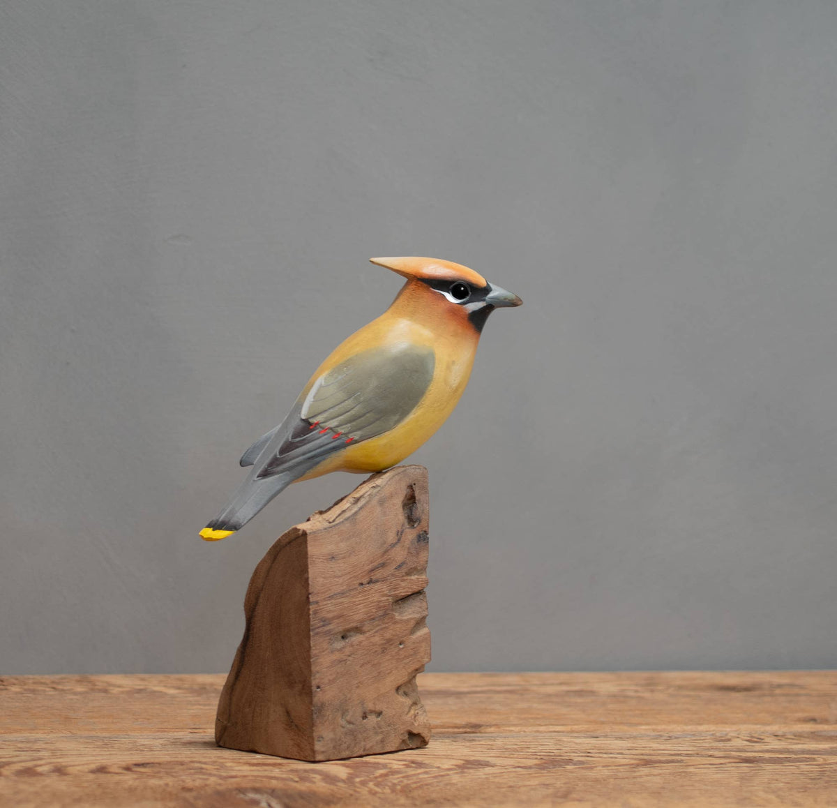 Cedar Wax Wing — ARTISANS & agency