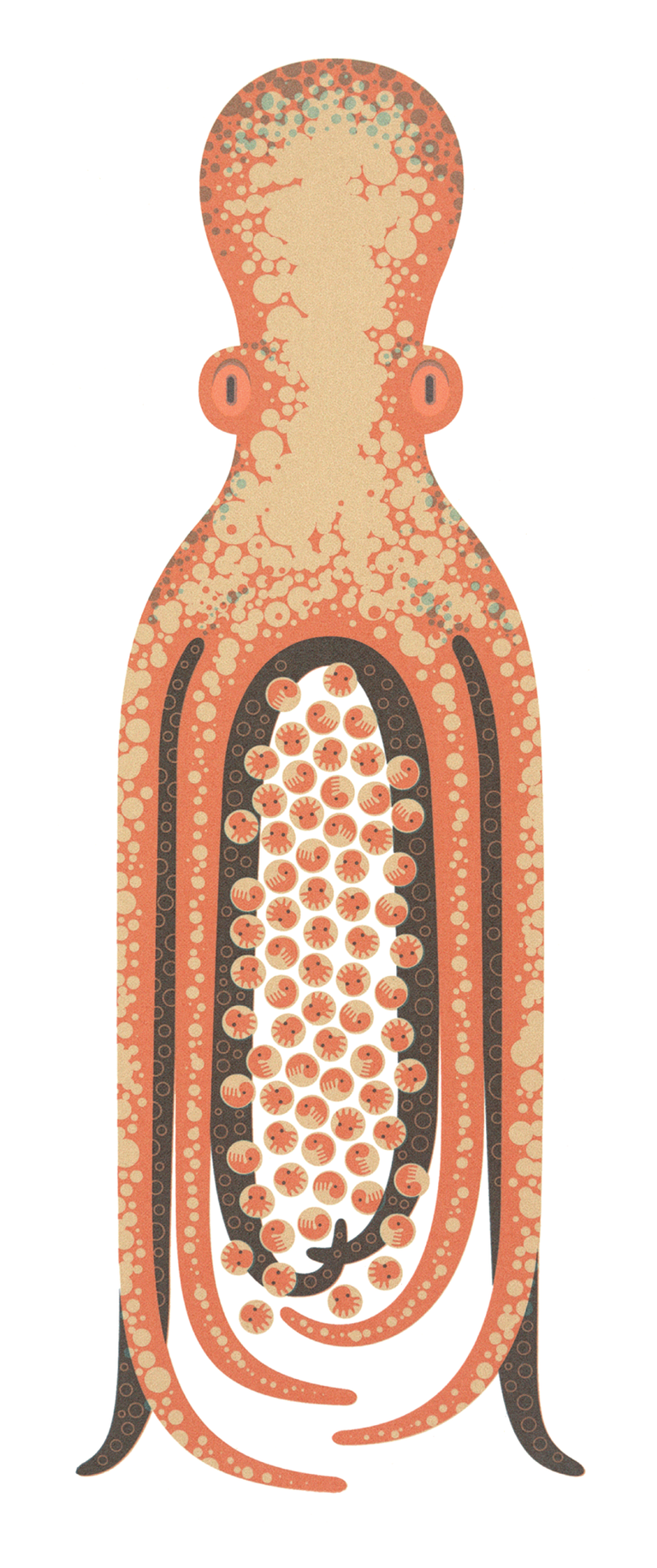 Doug Ross | Artisans & agency — ARTISANS & agency