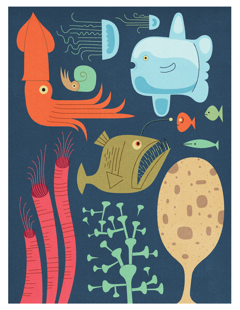 Doug Ross | Artisans & agency — ARTISANS & agency