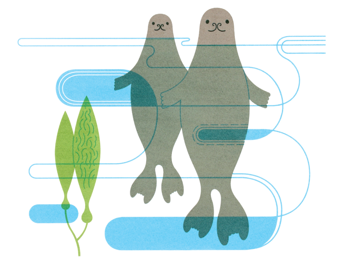 Doug Ross | Artisans & agency — ARTISANS & agency