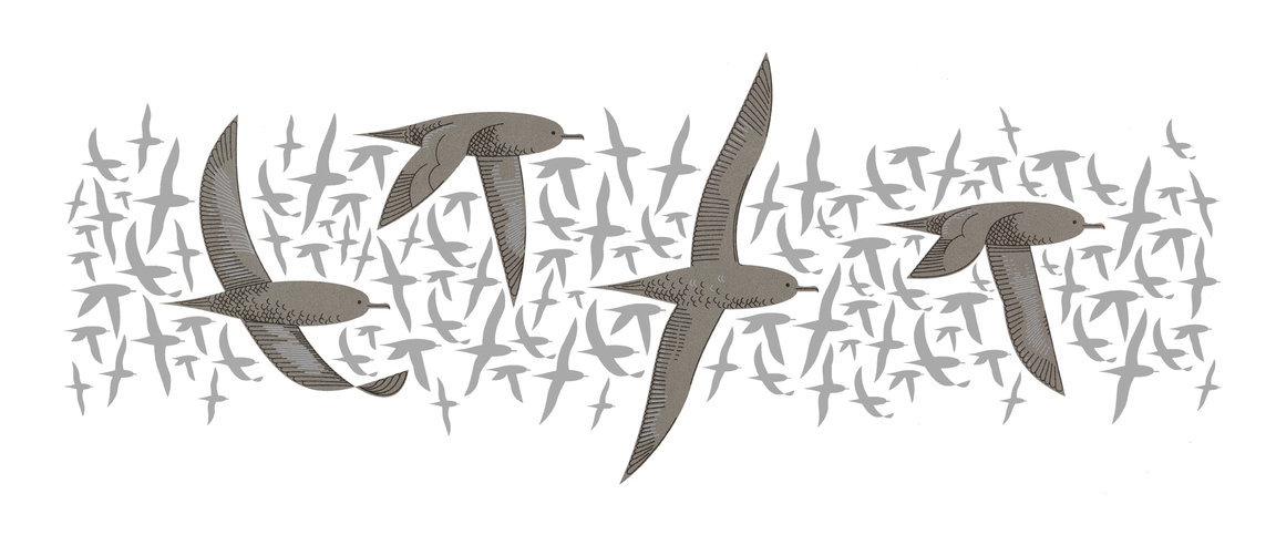 Doug Ross | Artisans & agency — ARTISANS & agency