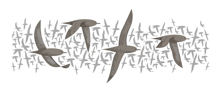 Doug Ross | Artisans & agency — ARTISANS & agency