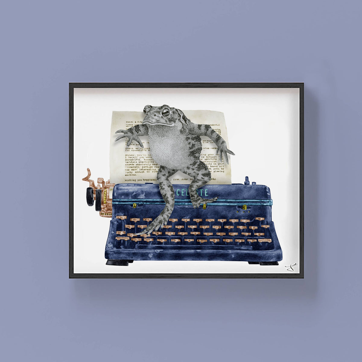 Stuart Bleuet American Toad Portrait Study — ARTISANS & agency