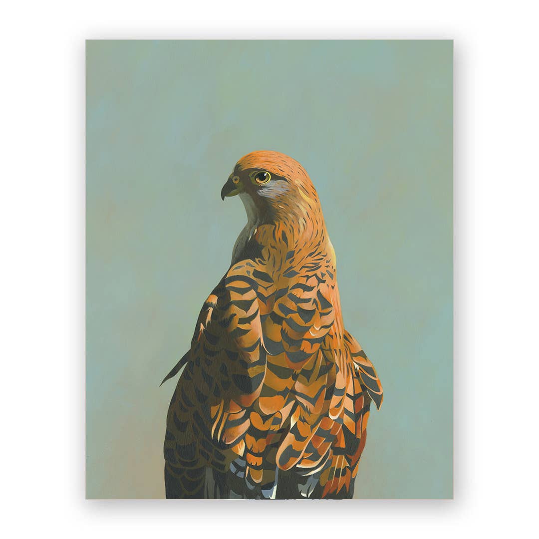 8 x 10 African Hawk Panel Wings on Wood — ARTISANS & agency